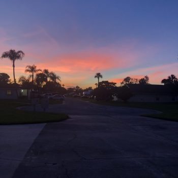 Spring 2018 Photo Contest — ImageFramer for Mac