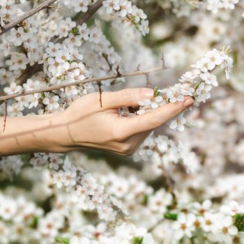 Spring 2018 Photo Contest — ImageFramer for Mac