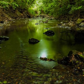 Spring 2018 Photo Contest — ImageFramer for Mac