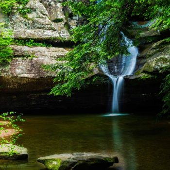 Spring 2018 Photo Contest — ImageFramer for Mac