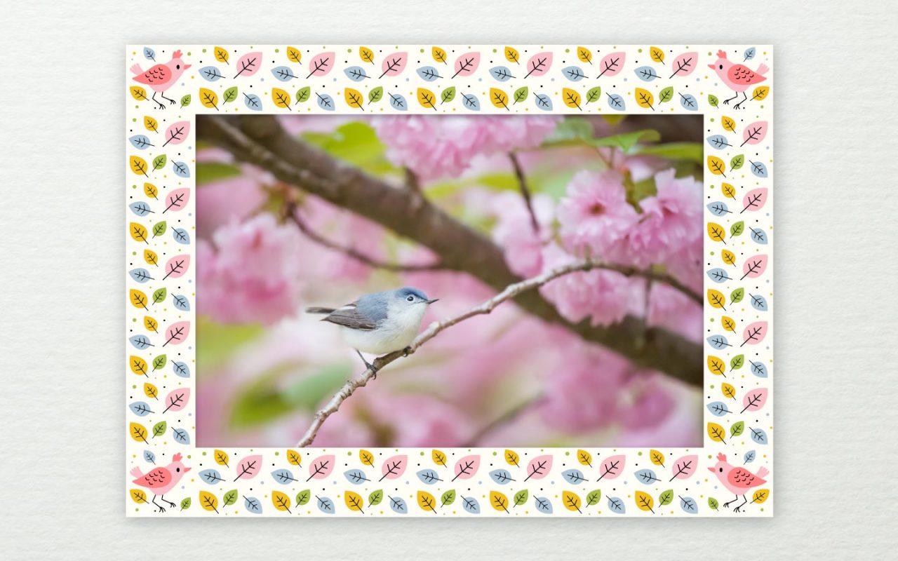 How to create corner frames with ImageFramer — ImageFramer for Mac